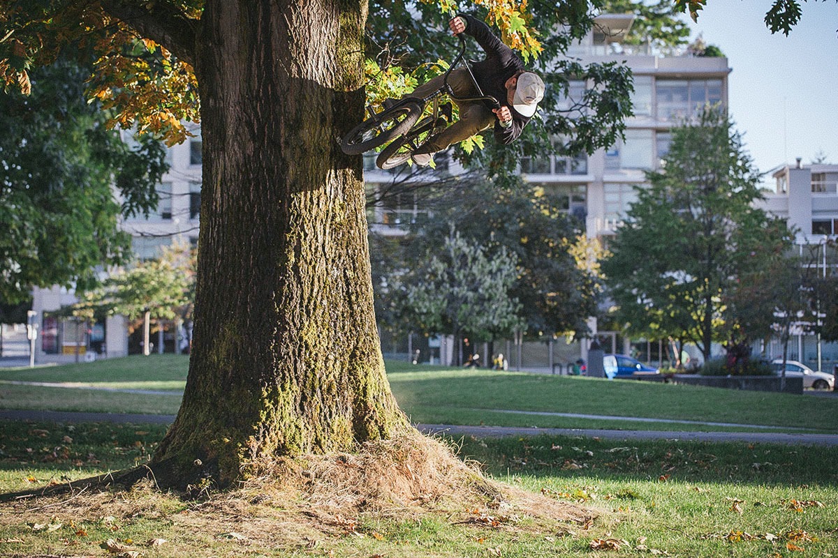 Top 10 Tree Ride Photos | Ride UK BMX