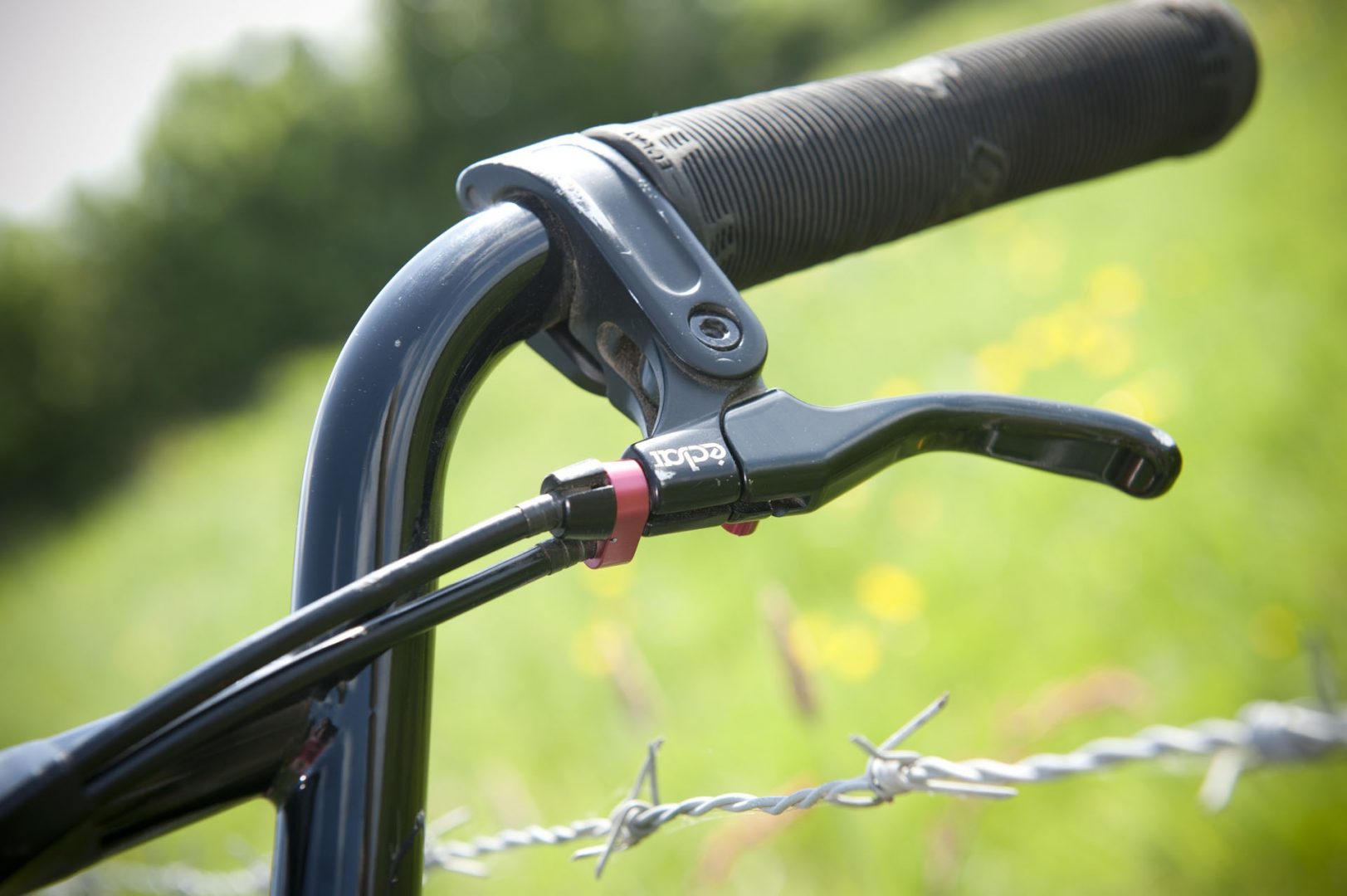 BIKE CHECK: Tom Isted | Ride UK BMX