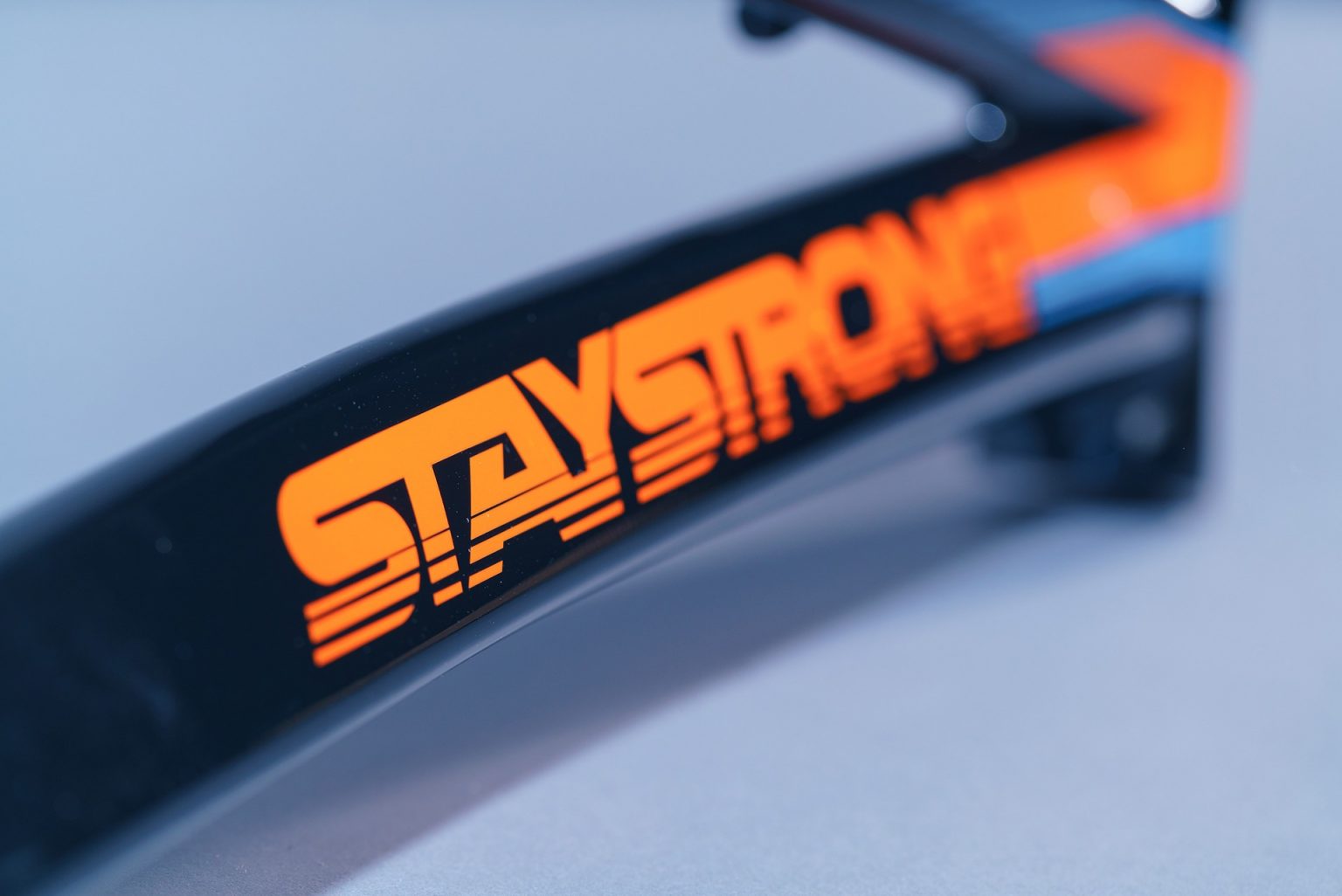 STAY STRONG – FOR LIFE V2 RACE FRAME - REVIEW | Ri...