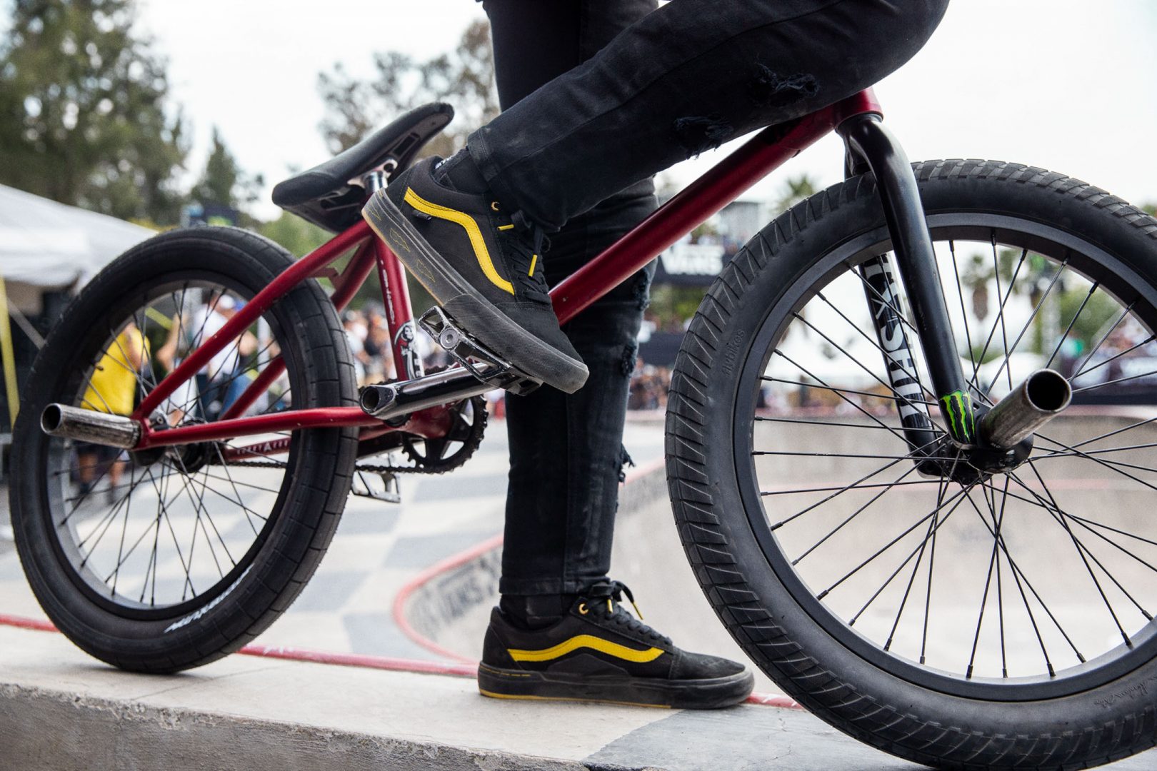 VANS: Larry Edgar Signature Old Skool Pro BMX Shoes ...