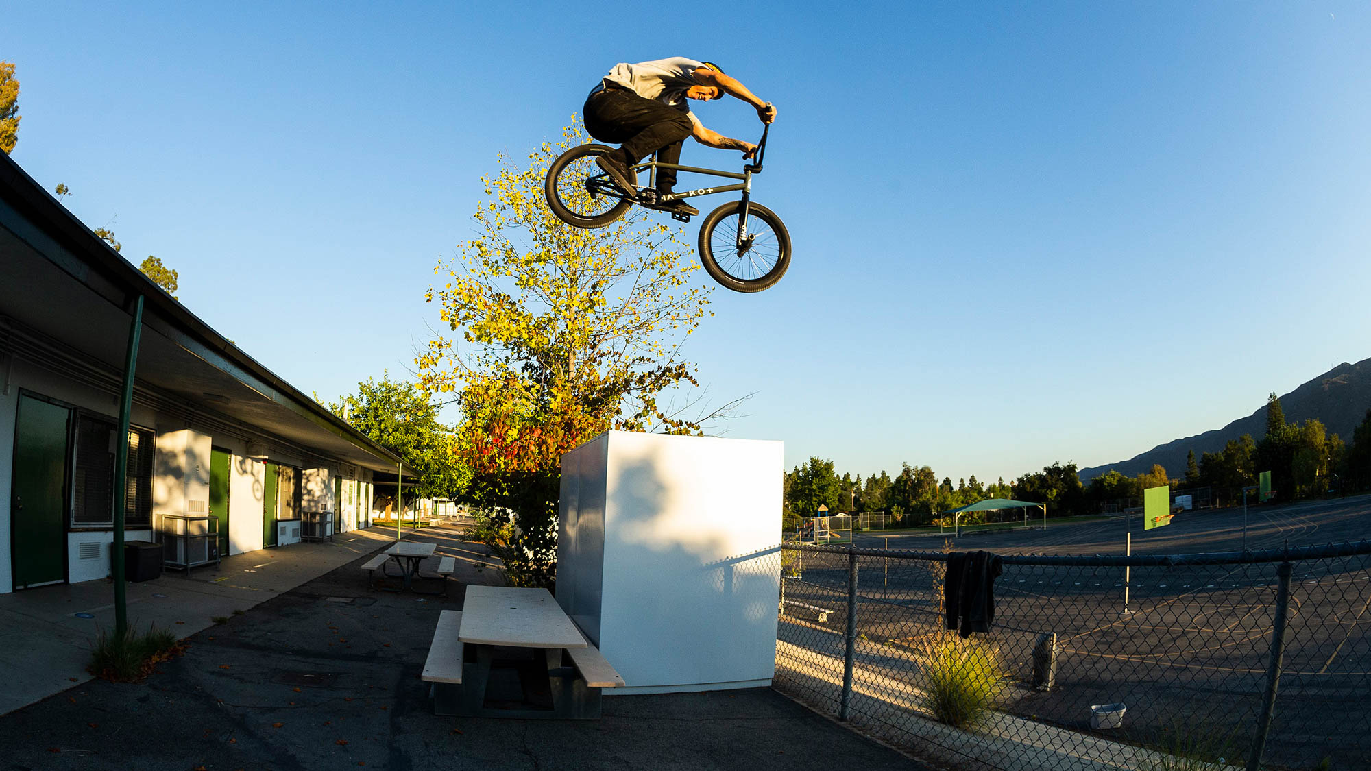 VANS BMX: Dennis Enarson - Acea | Ride UK BMX